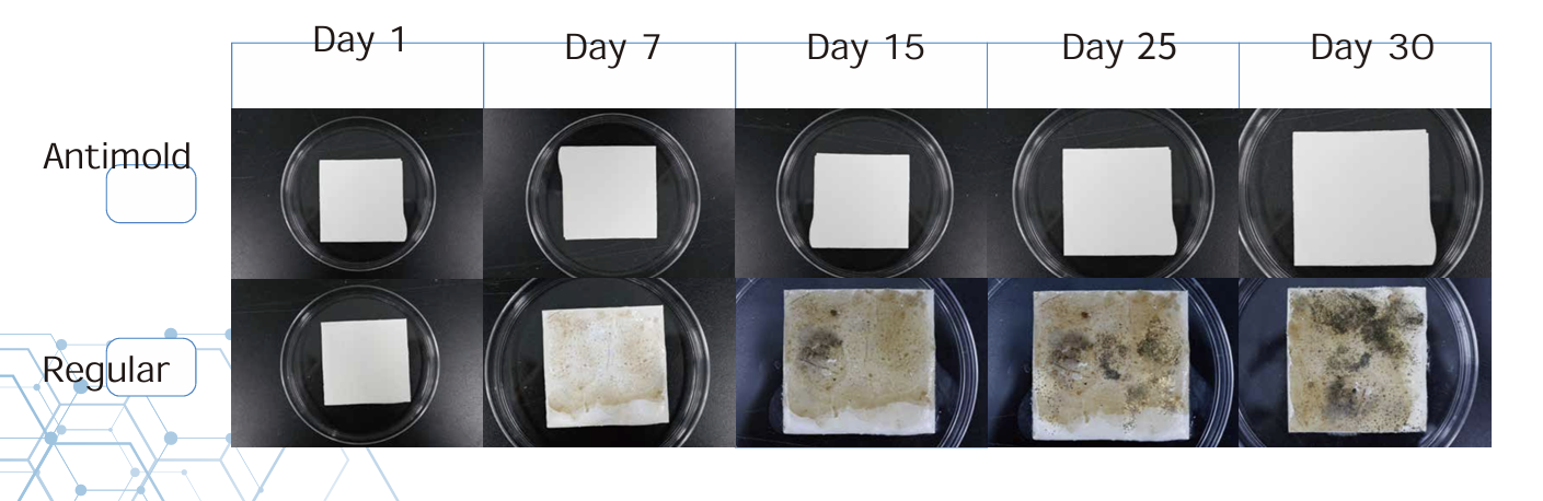 Lab Report Shows efficacy of Oxygen Coating against surface MOLD growth ...